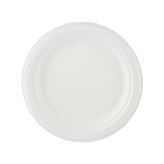 Biodegradable Plates – Hotpackjordan